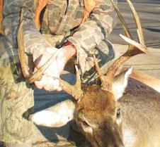 dotPhoto Album - lblhunts - 2012 Land Between the Lakes Quota Hunt Photos