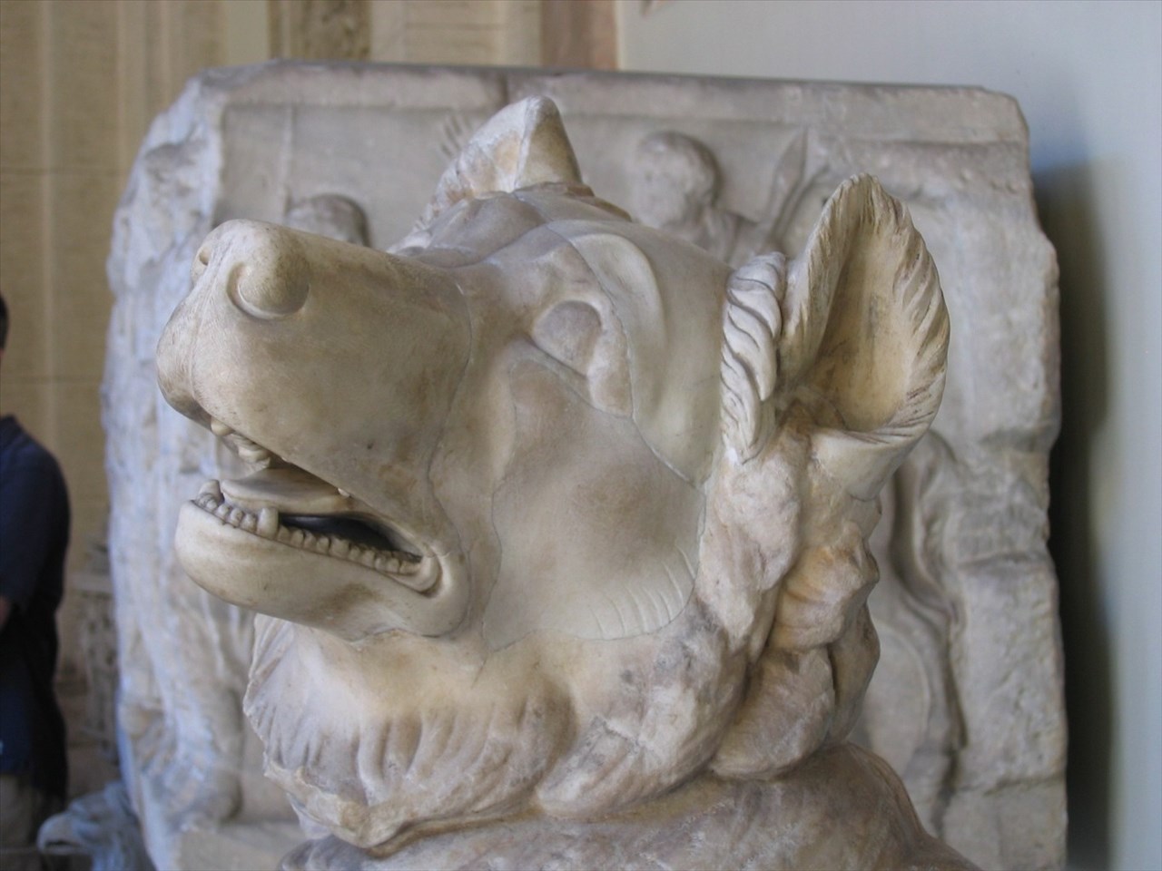 dotPhoto Album - tmv - Rome 2004